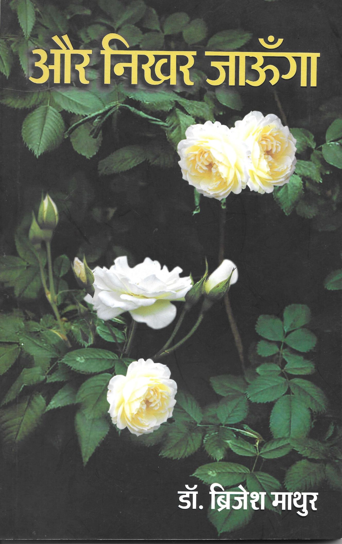 Abhinav Prakashan | Abhinav Prakashan